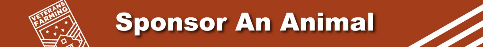 Sponsor an Animal – Veteran's Farming Initiative